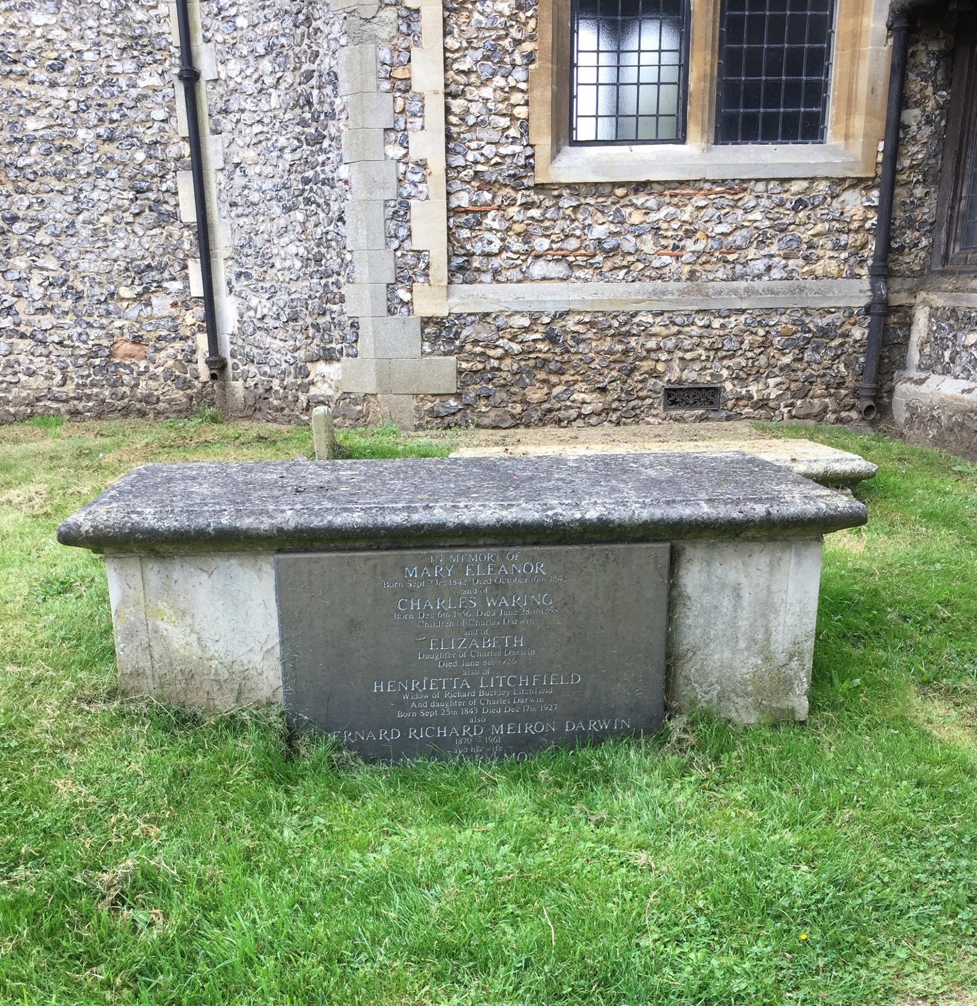 Tragic Death of Mary Eleanor Darwin: Impact on the Darwin Family and ...